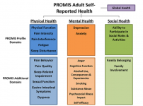 Examples-of-Standardized-PROMIS-Physical-Health-Questions-for-Adults-2 ...